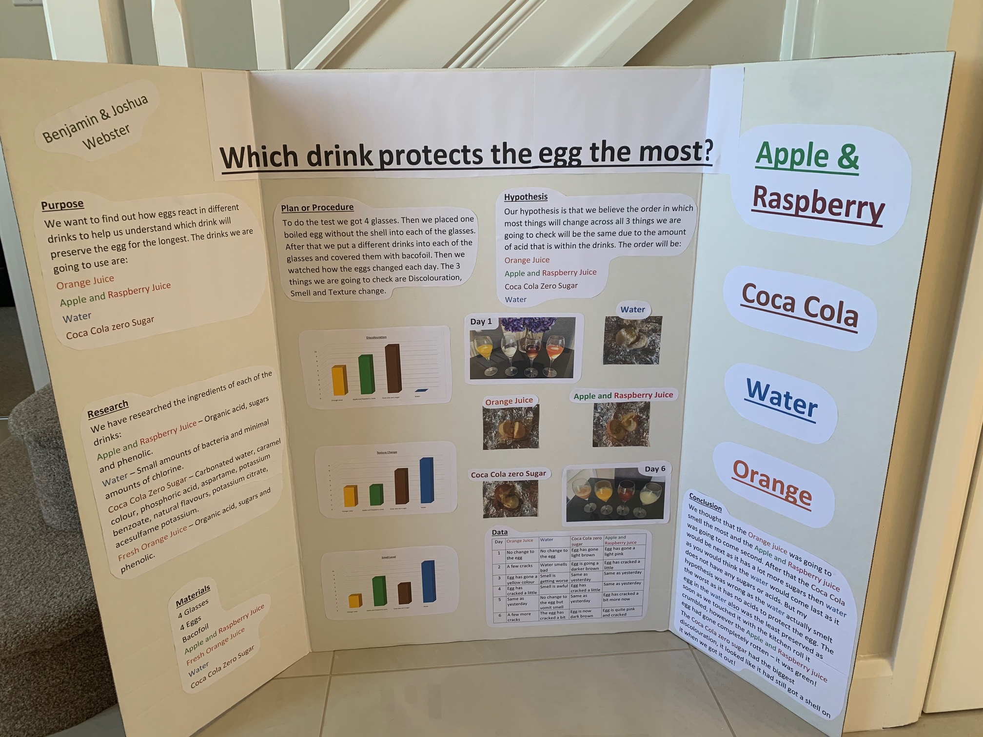 Junior School Science Fair Competition Results - Hollygirt
